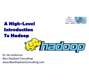 What You Need To Know About The Hadoop Database – Blue Elephant Consulting